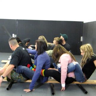 Bull Ring - Team Building Activities